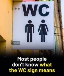 What does the WC sign mean? – humorssite.com